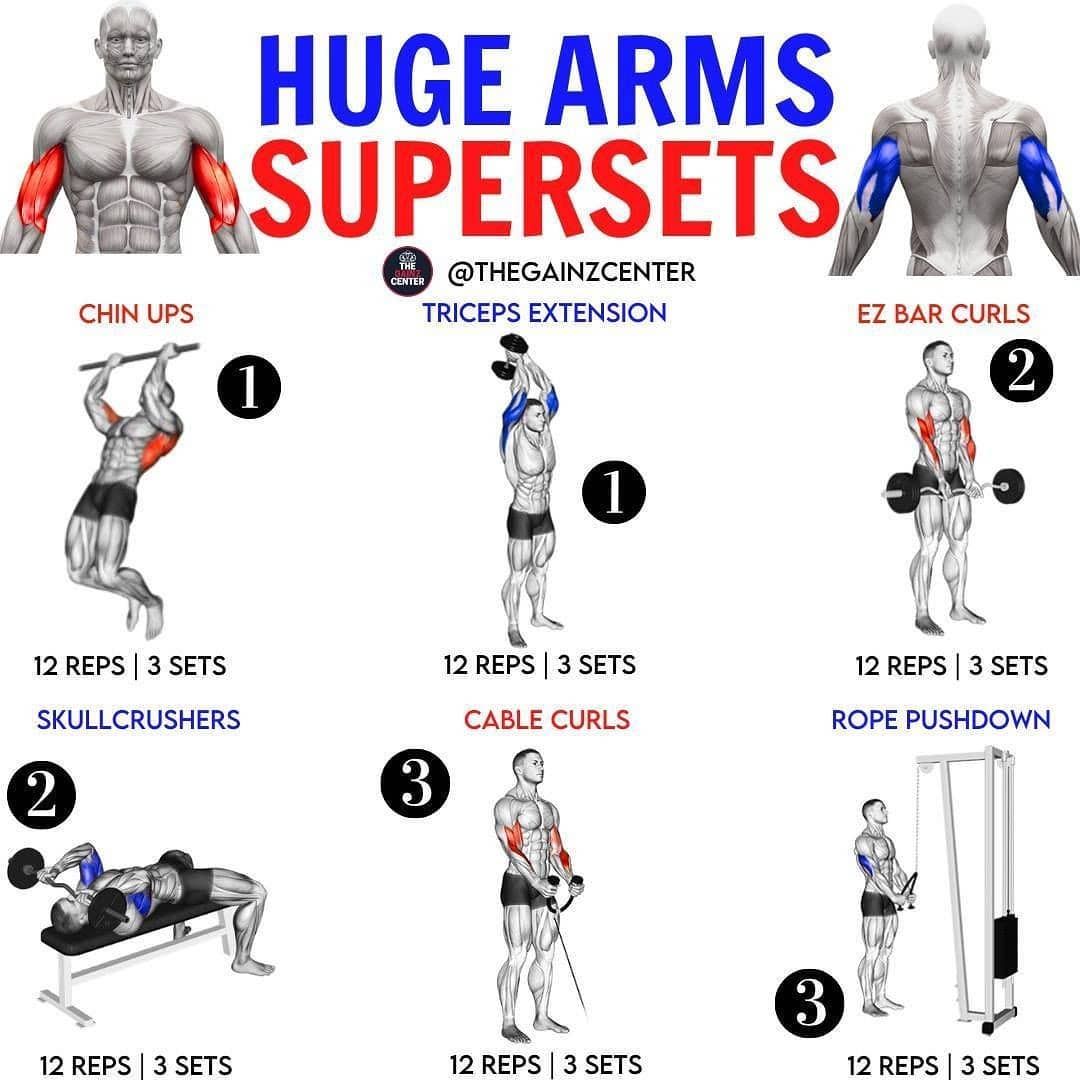 Fitnessmodel On Instagram 🔴 🔵 Huge Arms With These Supersets 🔴 🔵 Workout Made By Fitnes