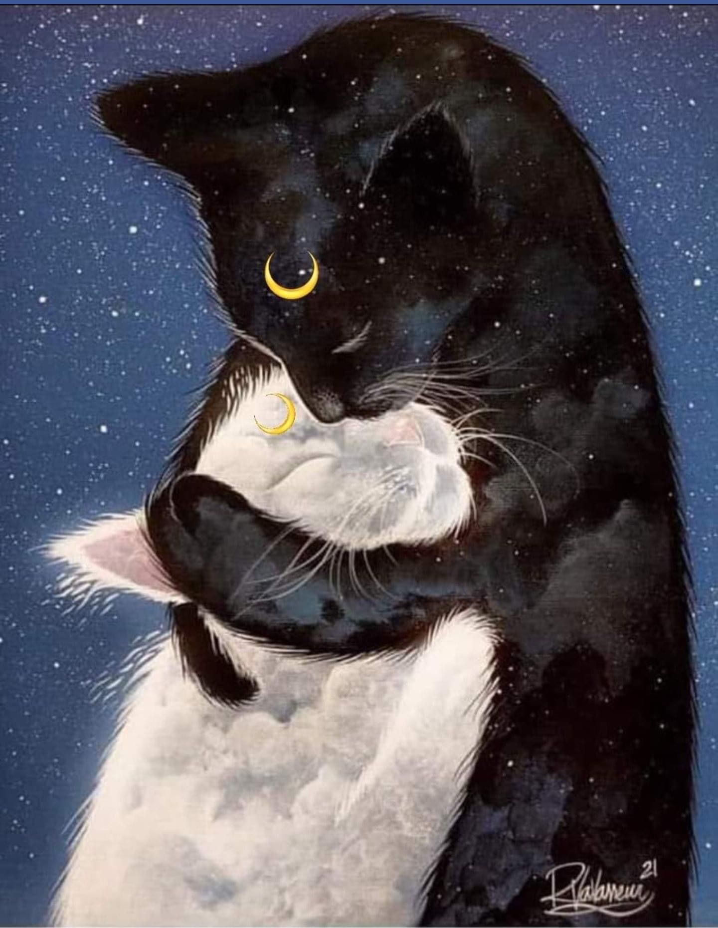 Ethereal Art Cat Drawing Aesthetic Art Cat Art Art Wallpaper Cute