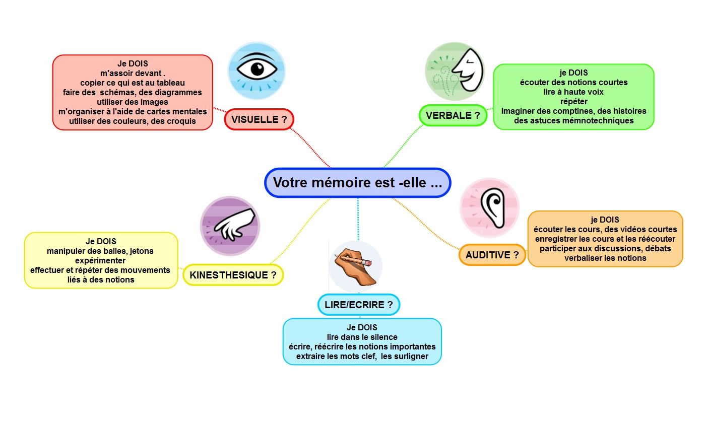 Les 5 types de mémoire DYSPOSITIF Les 5 types de mémoire DYSPOSITIF