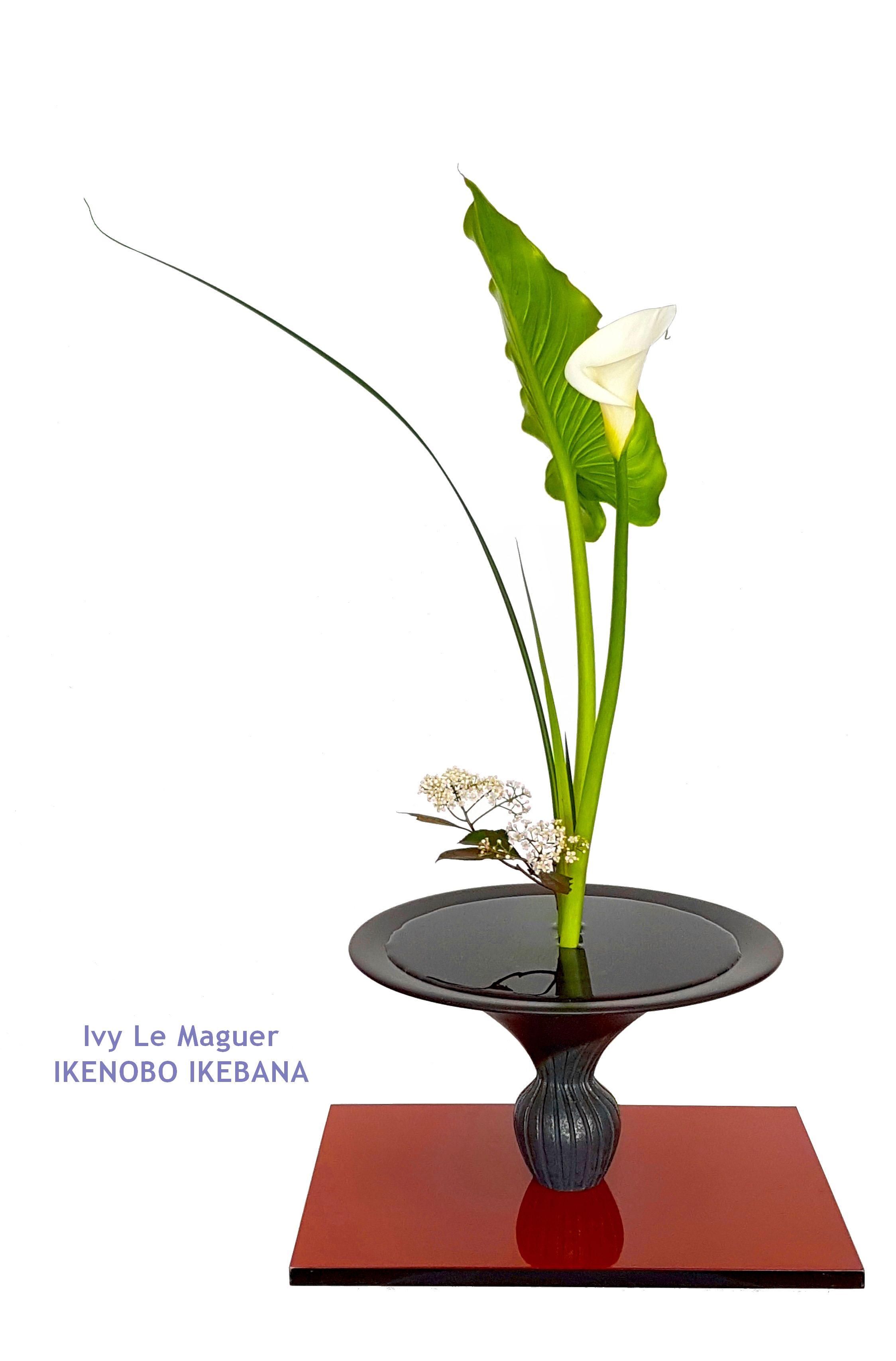 Shoka Shimputai Modern By Ivy Le Maguer Senior Professor Of Ikebana Of The Ikenobo Society Of