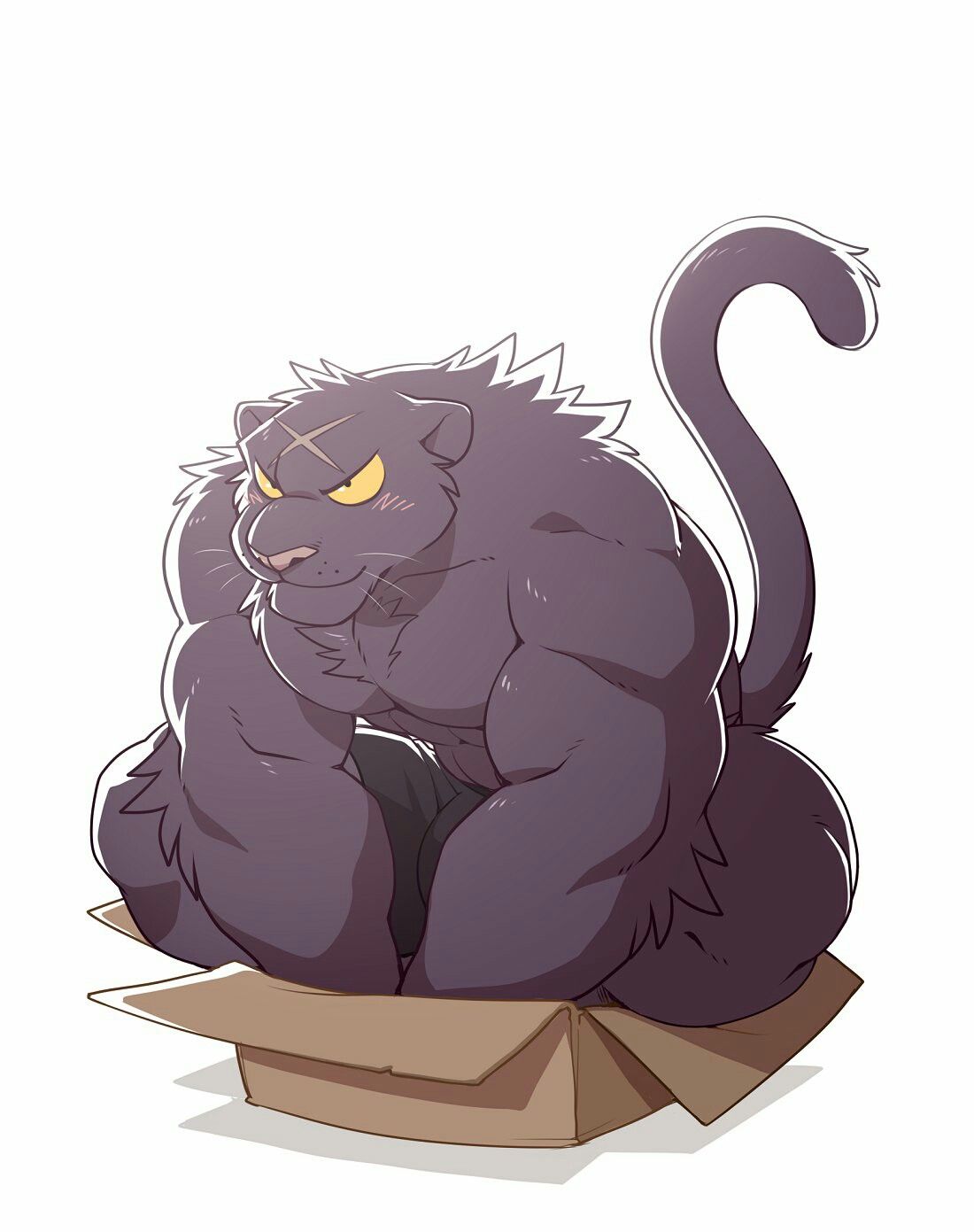 Takemoto Arashi Gato Furry Arte De Personajes Dibujos Bonitos