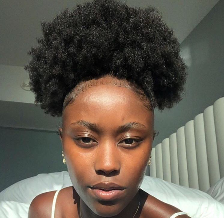 Follow L0vethyprincess For More Poppin Pins π€ͺ Natural Hair Styles