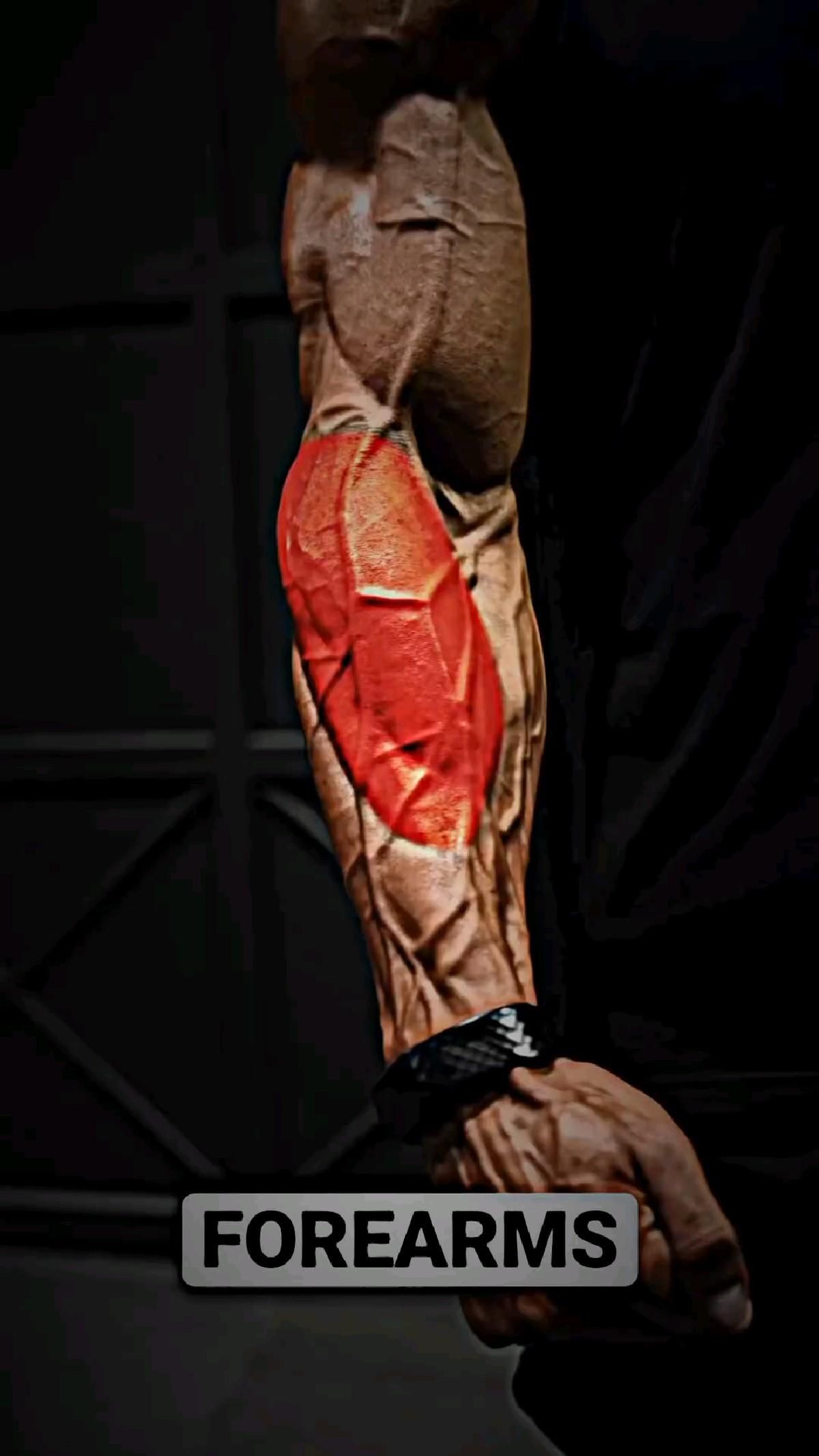 Best Forearm Exercises Artofit