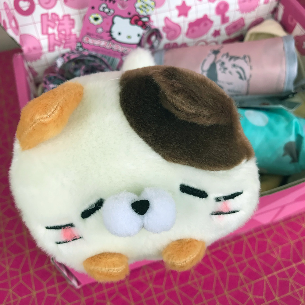 Doki Doki Crate Subscription Box Review Super Cute Kawaii Kawaii Plush Doki Doki Crate