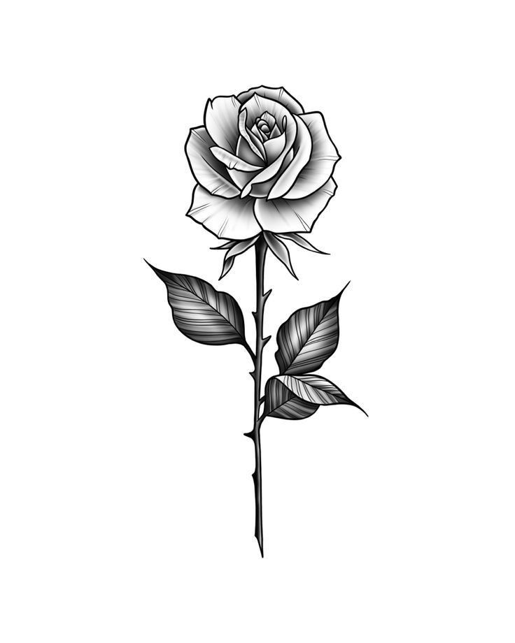 Pin Em Tattoo Drawings
