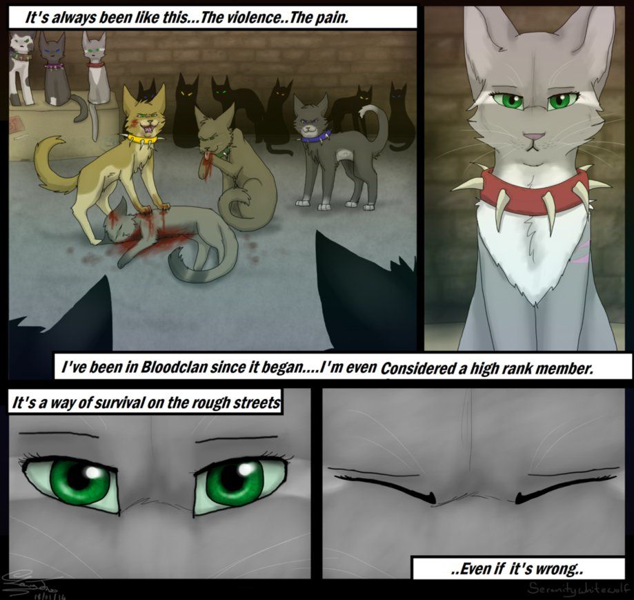 Pin On Warrior Cats