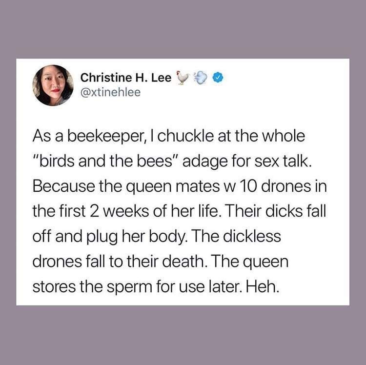 Birds And The Bees Sex Ed Adage Seriously Funny Bee Keeping