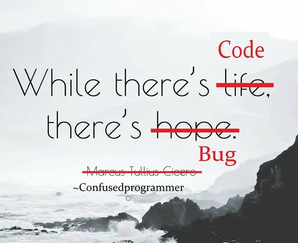 Codes And Bugs🤣🤣🤣 Life Coding Bugs Computer Science Quotes Computer Humor Science Humor