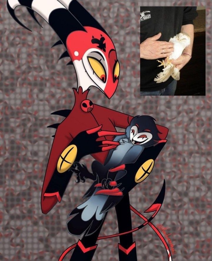 No Requests Hazbin Hotel Helluva Boss X Reader Artofit