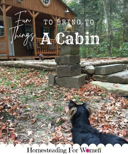 The Ultimate Cabin Trip Packing List Artofit
