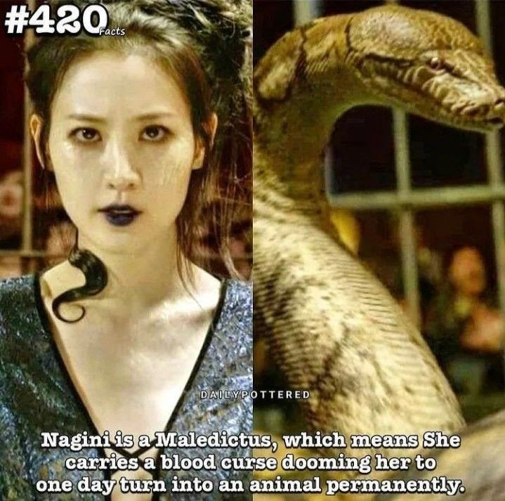 Pin By Nola Gene On Harry Potter2 Harry Potter Severus Harry Potter