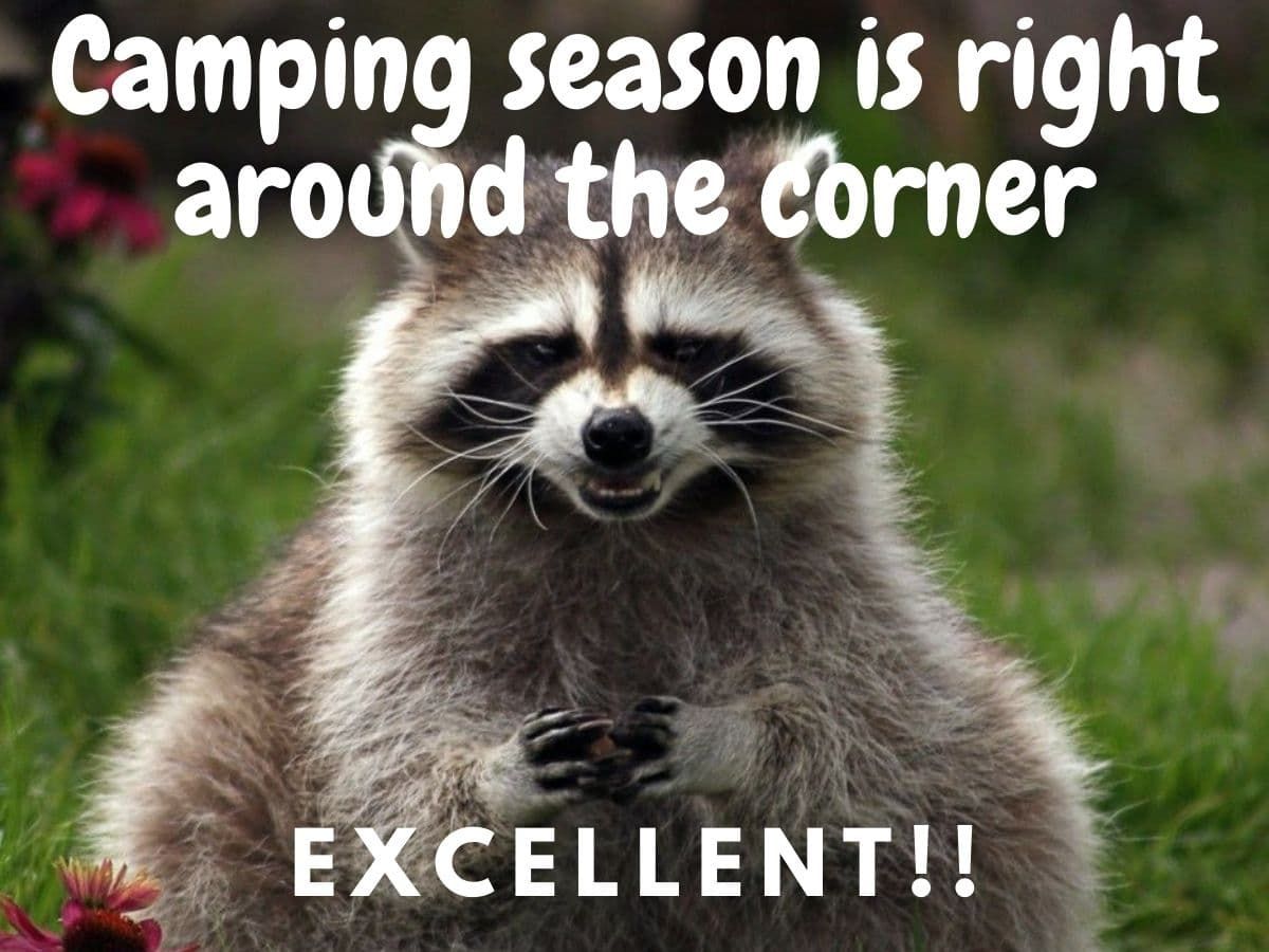 50 Funny Camping Memes To Make To Giggle And Inspire To Go Outside