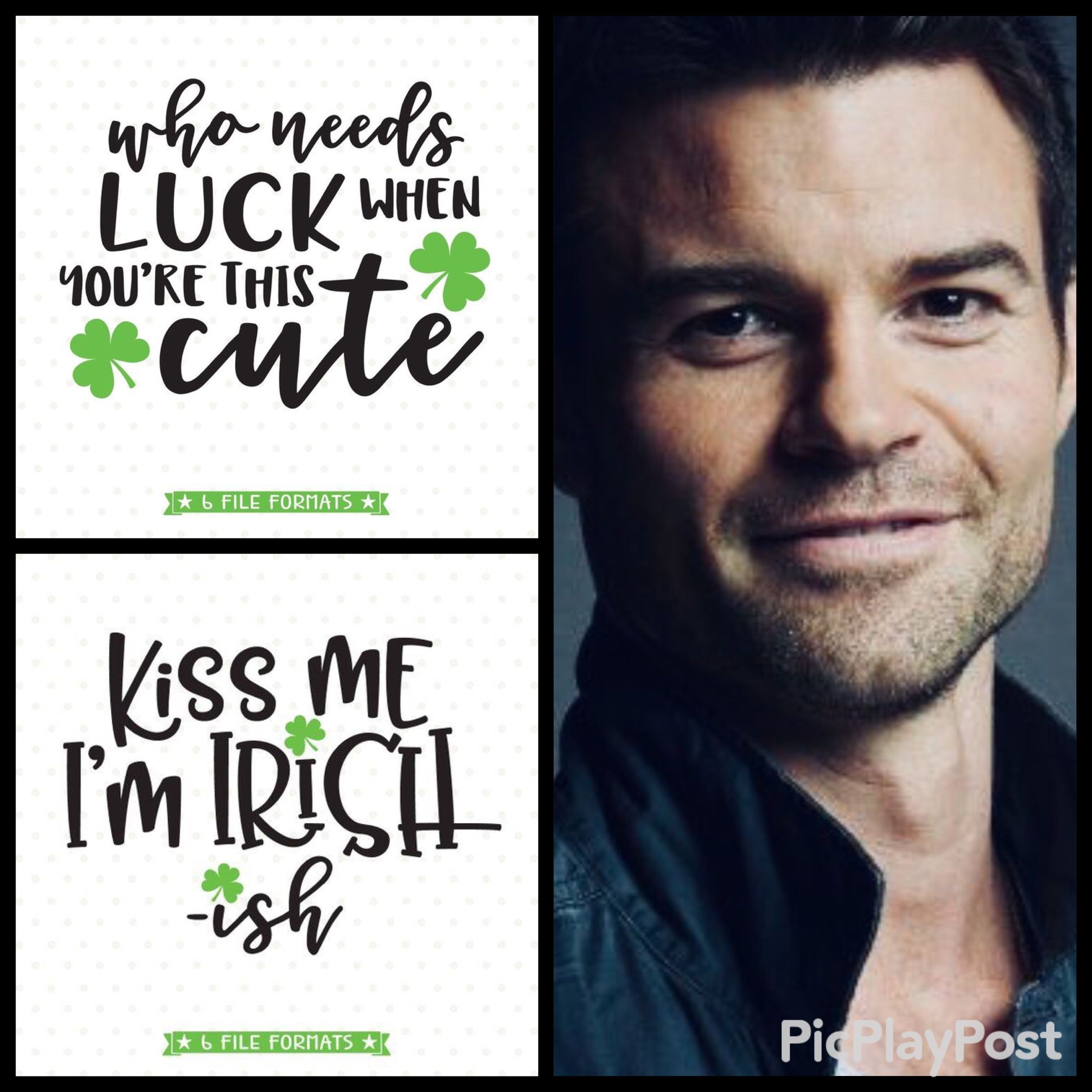 Pin By Rashel On Daniel Gillies Daniel Gillies Luck Kiss Me