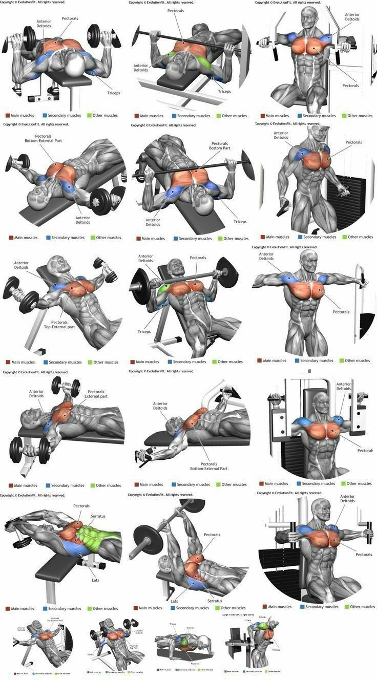 Exercícios Para Peitoral Treino De Peito E Tríceps Treino De