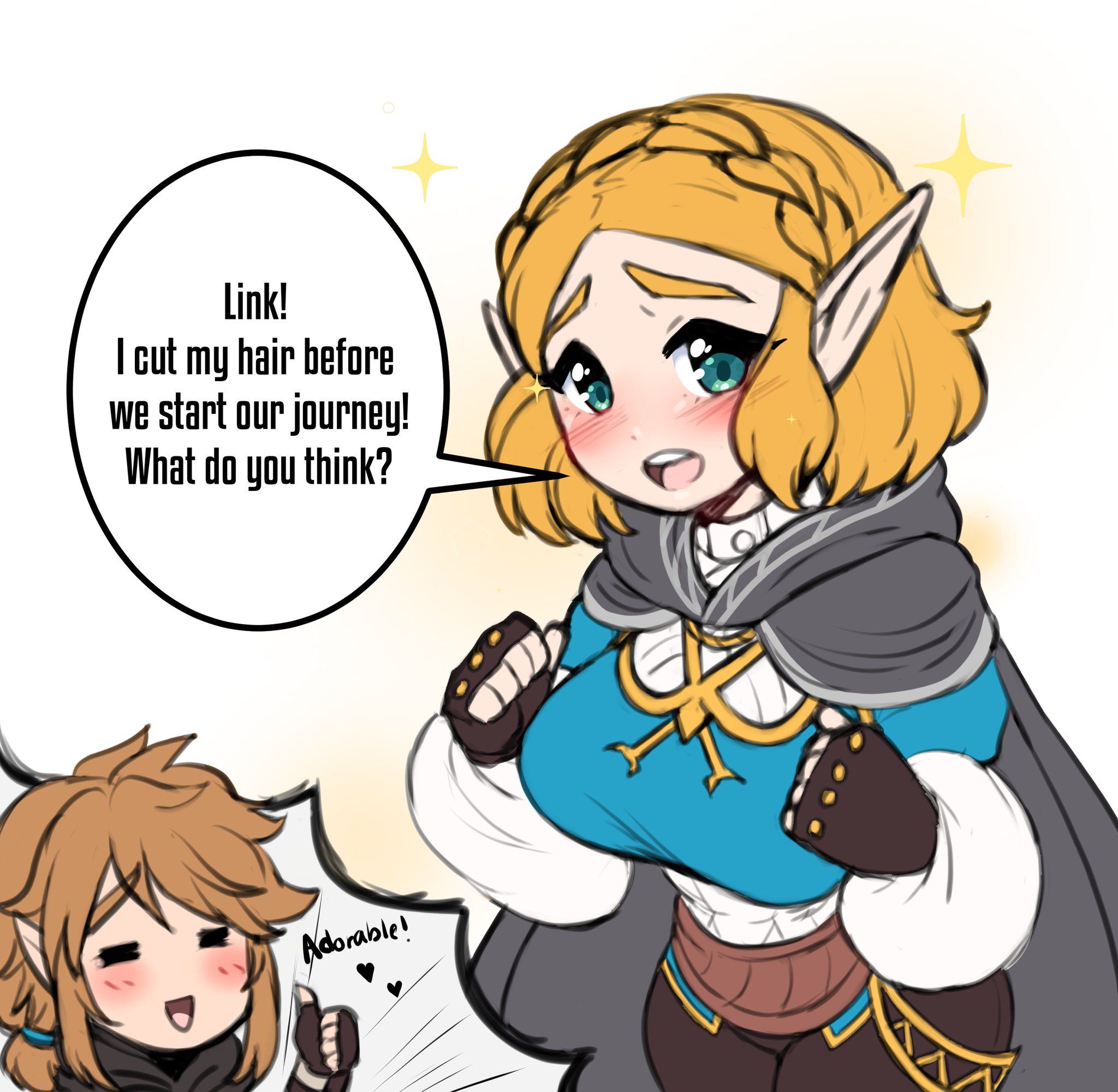 Princess Zelda Botw Meme