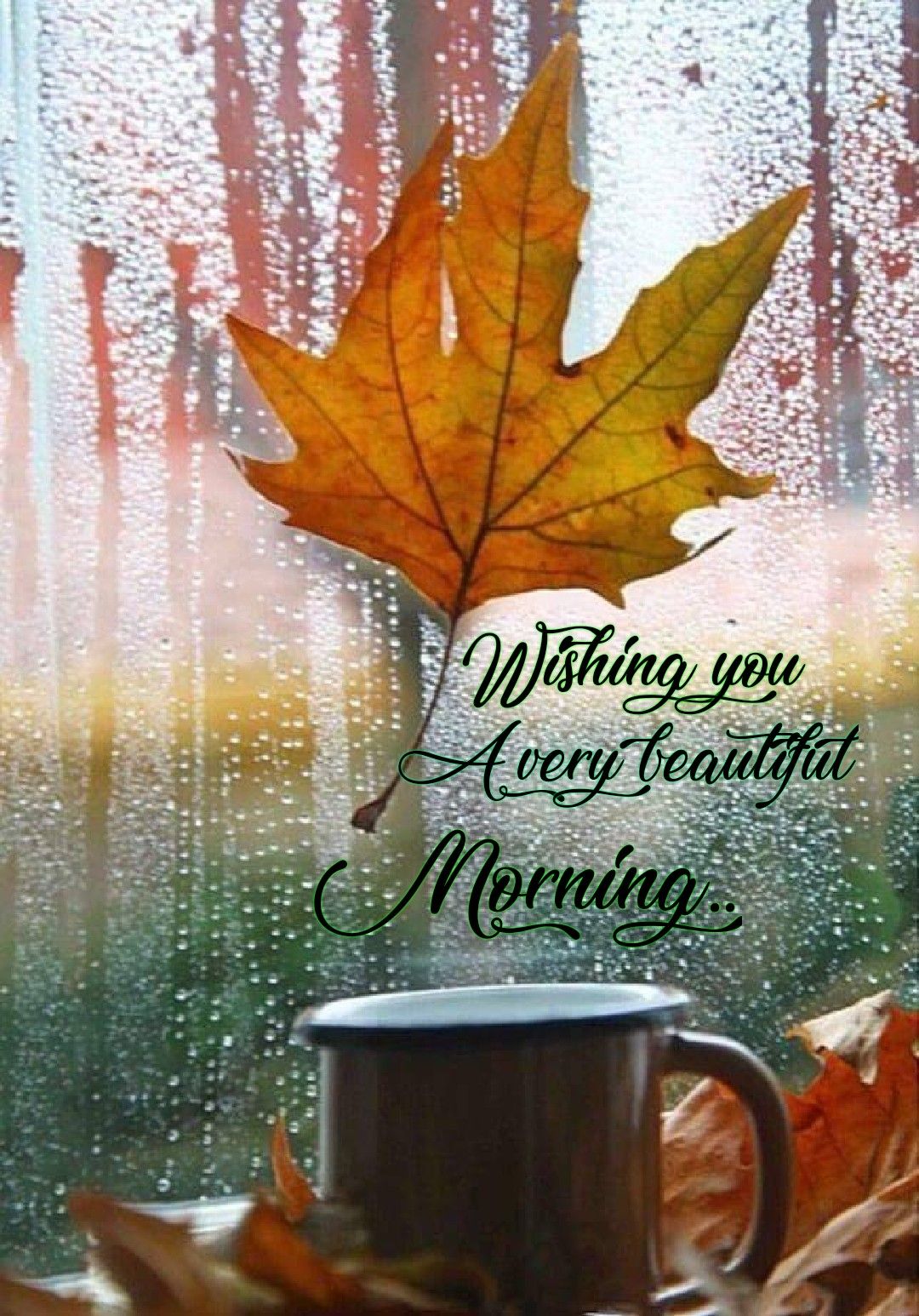 Pin By 4uimhere On Birthday Wishes In 2021 Good Morning Rainy Day Rainy Good Morning Good