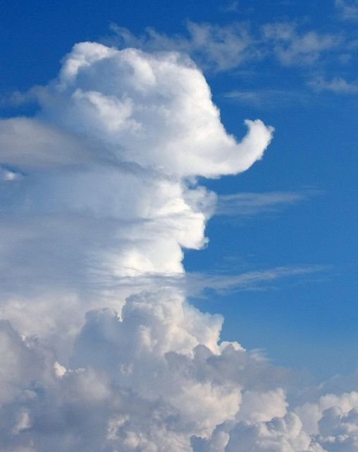 Elephant Cloud A Phenomenal Sight In The Sky