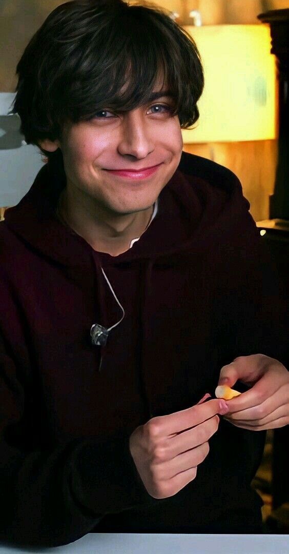 Pin By Nicole Brunssen On Aidan Gallagher Hot Actors Cute Actors Attractive People