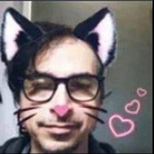 Mindless Self Indulgence Kitty Steve Righ Jimmy Urine Lyn Z Artofit