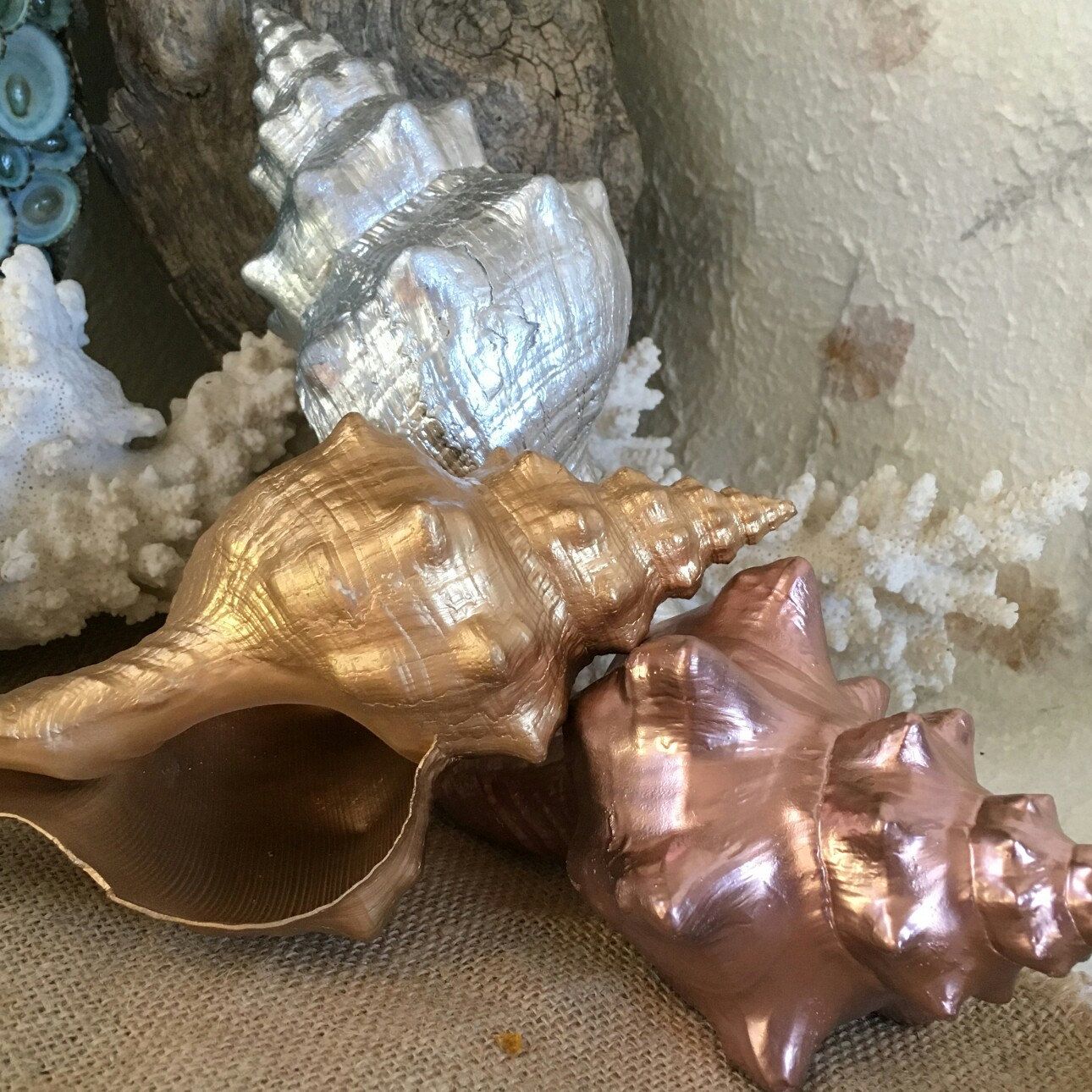 20 Conch Shell Craft Ideas